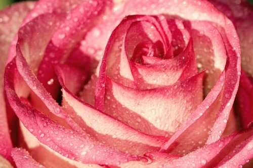 ¿Puede el moco cervical indicar un embarazo? - Eres Mamá