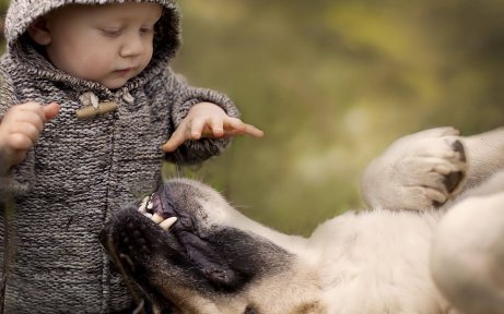 Cómo potenciar el vínculo de tu perro con tu bebé - Eres Mamá