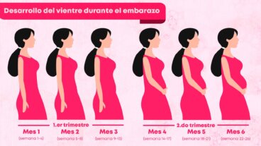 ¿Cuándo se empieza a notar la barriga en el embarazo?