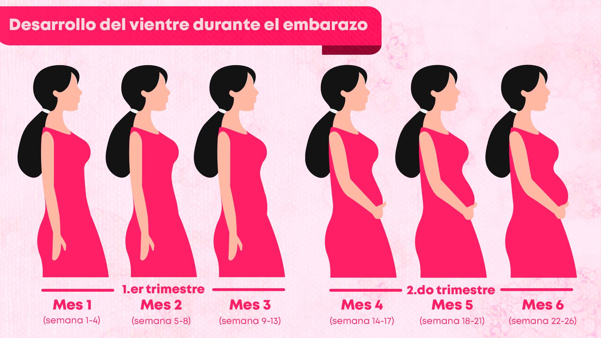 ¿Cuándo se empieza a notar la barriga en el embarazo?